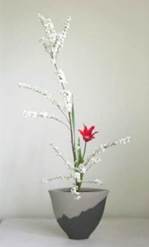 Ikebana Schools